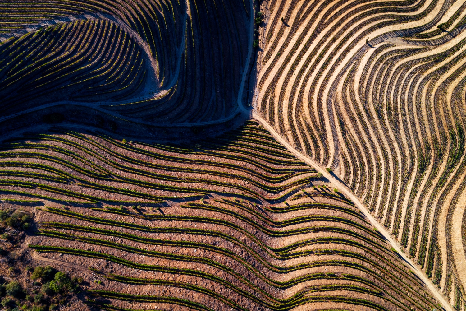 Private Equity | Northleaf Capital