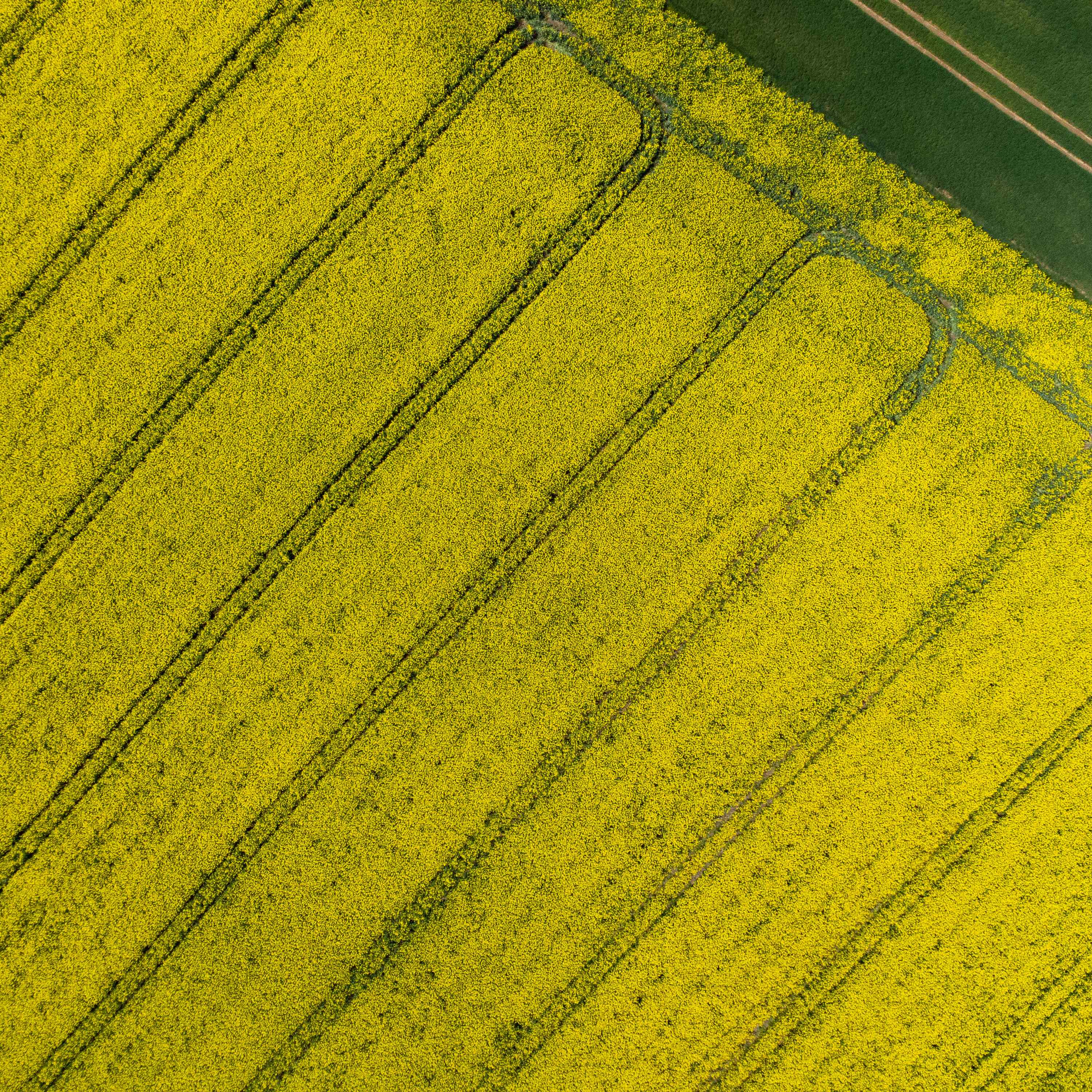 Infrastructure | Northleaf Capital